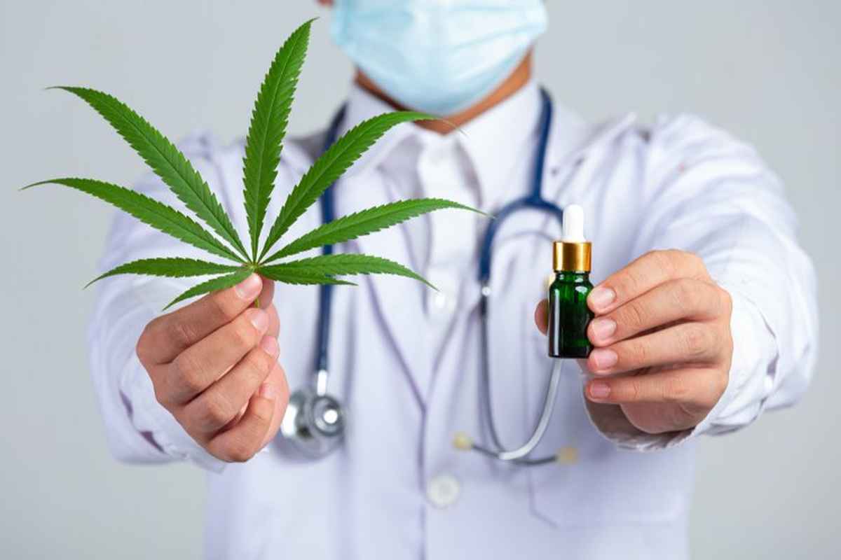 A Look at Medical Cannabis and Its Uses - Hemp Life Today